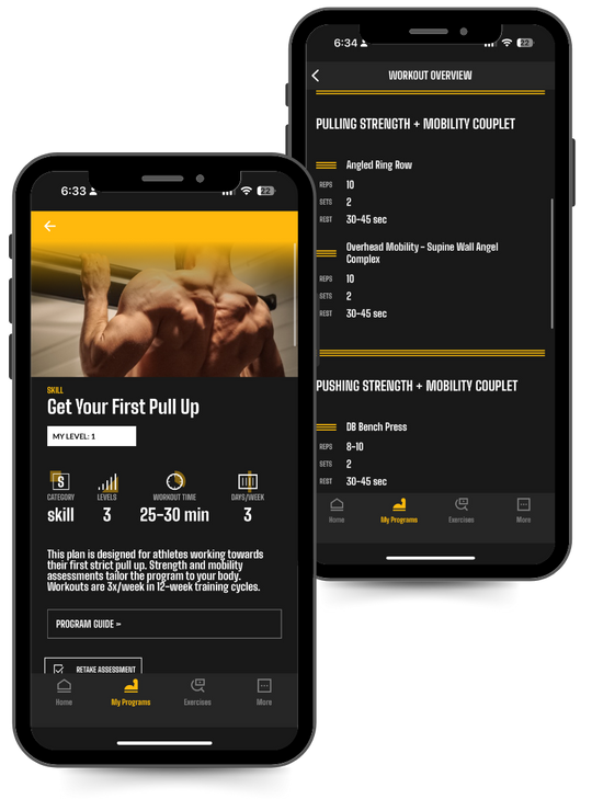 15+ Skill Based Gymnastics Plans - Power Monkey Training – Power Monkey Fitness