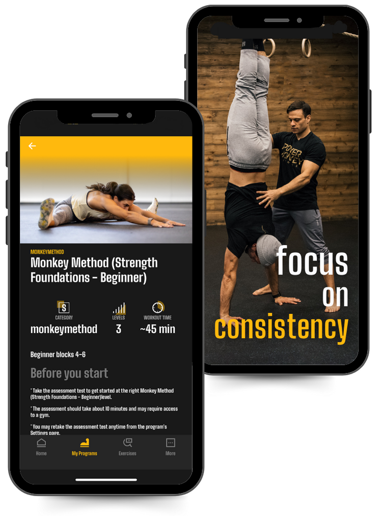 Monkey Method | Power Monkey Training – Power Monkey Fitness