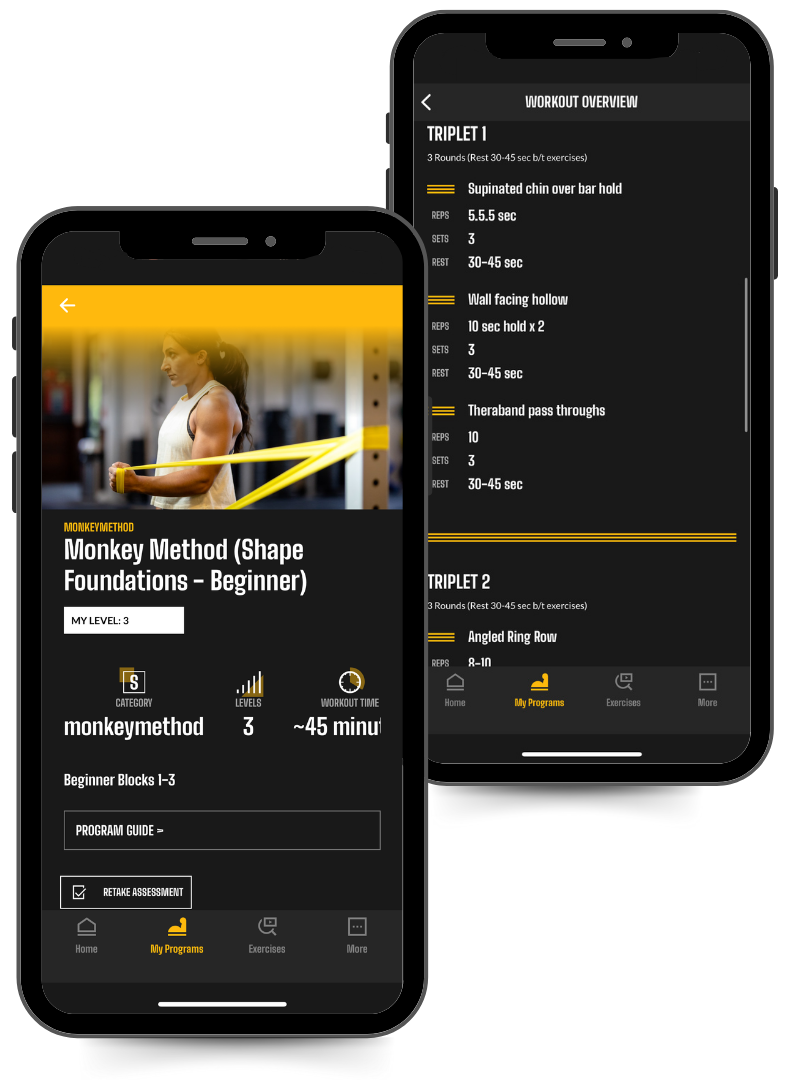 Monkey Method | Power Monkey Training – Power Monkey Fitness