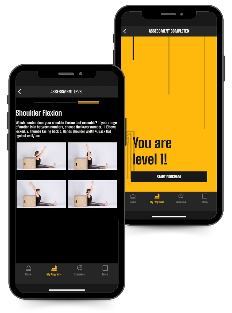 Monkey Method | Power Monkey Training – Power Monkey Fitness